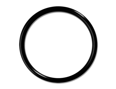 Regulator O Ring
