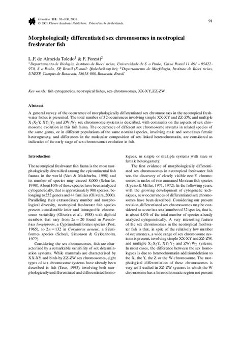 Pdf Morphologically Differentiated Sex Chromosomes In Neotropical