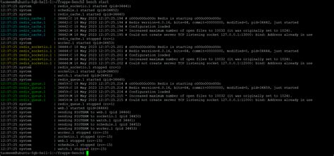 Bench Start Error Error No Such Option Quiet Erpnext