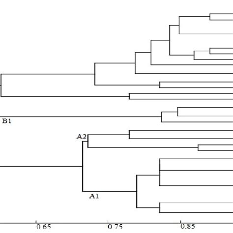 The Dendrogram Generated Based On The Rapd Data Using The Unweighted