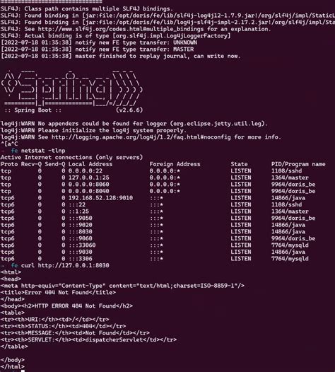 FE Launch Success But Cannot Visit Apache Doris Discussion GitHub