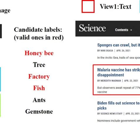 a an example of multi view partial multi label scenario b an download scientific diagram