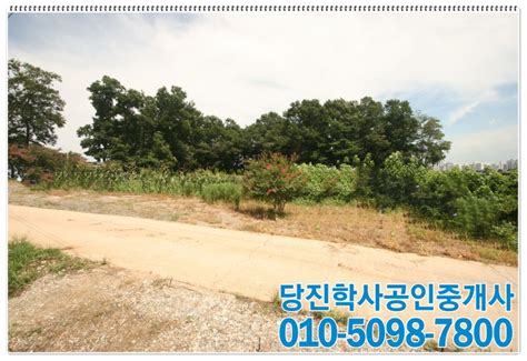 당진 토지매매 당진시 신평면 거산리 237평 계획관리지역 남향의 평탄지 전원주택용지로 추천 네이버 블로그
