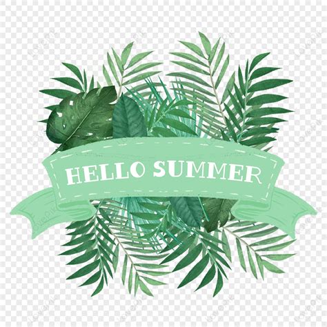 배너 안녕하세요 여름 이미지 사진 및 Png 일러스트 무료 다운로드 Lovepik