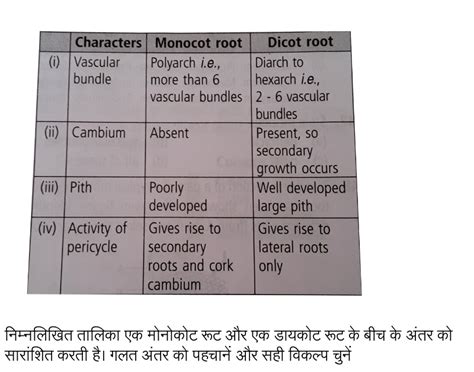 Difference Between Monocot Root And Dicot Root