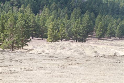 Дархан Уул аймгийн газар нутгийн 4 9 хувь нь цөлжилтөд өртсөн Eguur Mn