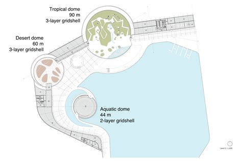 Long Span Timber Gridshells Questions And Architecture