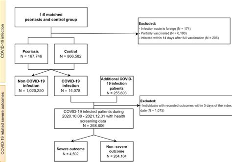 Flowchart Illustrating The Data Collection Process Download Scientific Diagram