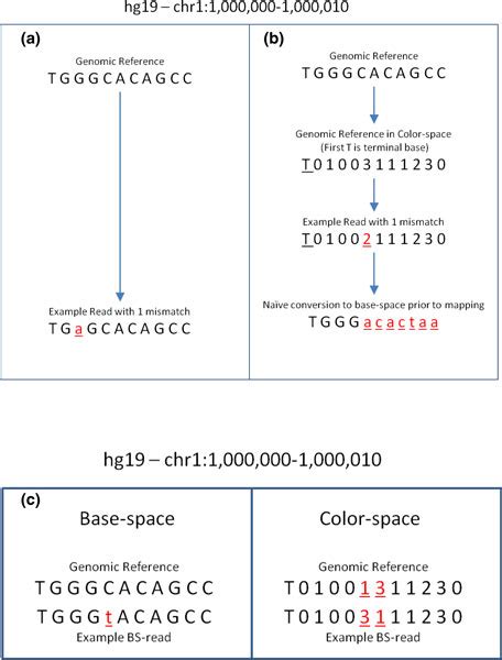 interpreting mismatches between reads in base and color space a b