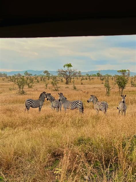 Create A Customized Travel Plan With Flights And Accommodation By