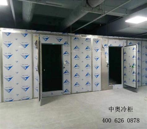 冷柜 冰柜 冷库 冷藏库 冷冻柜产品 中奥冷柜