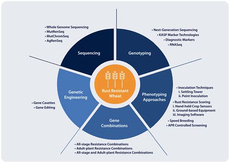 The Keys To Controlling Wheat Rusts Identification And Deployment Of