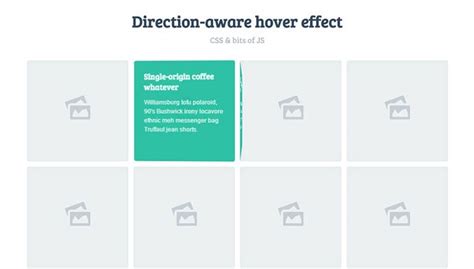 31 Cool Hover Effects Bashooka Web Graphic Design Hover Website Design