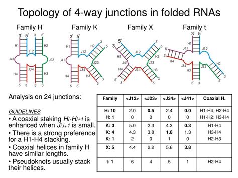 Ppt Towards Rna Structure Prediction 3d Motif Prediction And Knowledge Based Potential