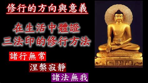 佛法 修行在生活中體證三法印的修行方法修行的方向與意義三法印諸行無常諸法無我涅槃寂靜修行佛法 Youtube