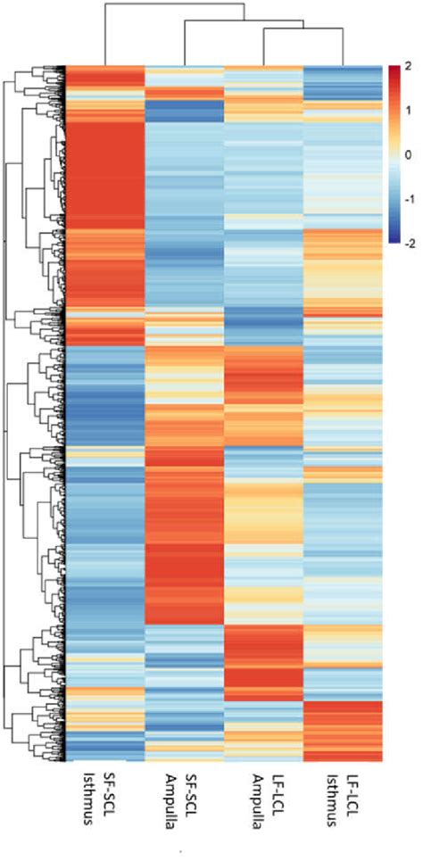 Clustering Analysis Of Mirna Mrna Interactome Heat Map Constructed By
