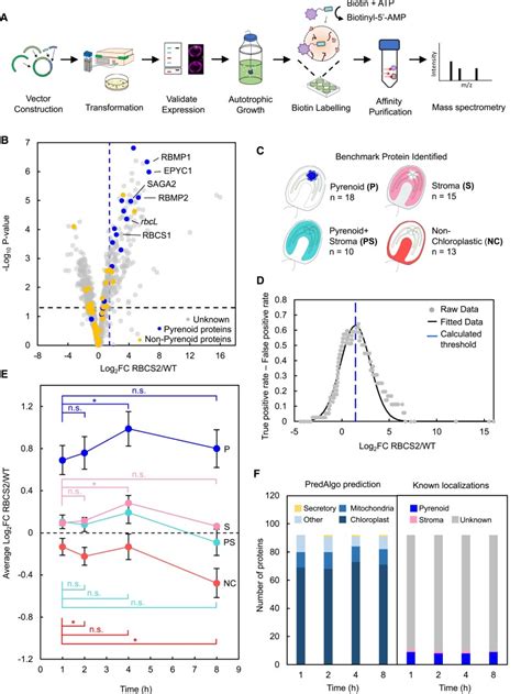 A Phase Separated Co2 Fixing Pyrenoid Proteome Determined By Turboid In
