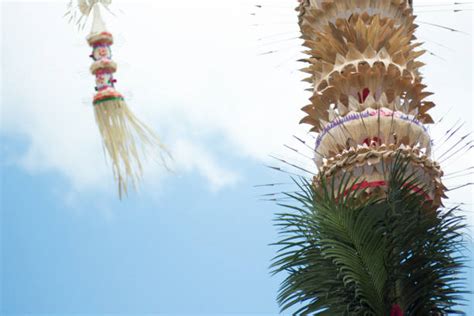 330 Penjor Foto Stok Potret And Gambar Bebas Royalti Istock