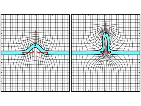 Molecular Computational Anatomy From Euler To Dirac Nyu Tandon School Of Engineering