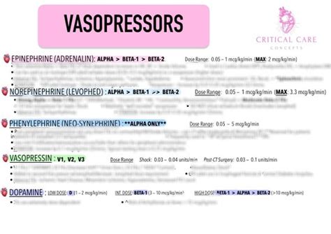 Vasopressor Reference Sheetconcept Map For Icu Nurses Etsy Uk Vasopressor Reference Sheetconcept Map For Icu Nurses Etsy Uk