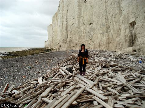 Uk Fossil Collecting