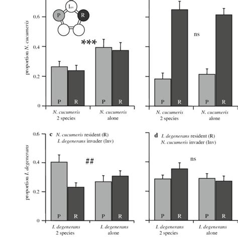 Three Types Of Intraguild Predation A Simple Intraguild Predation