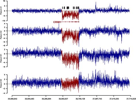 Tiling Array Difference Signals Between Normal And Tumor Samples For A Download Scientific