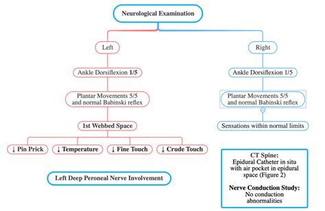 Neurological Examination As Carried Out In This Patient Download Scientific Diagram