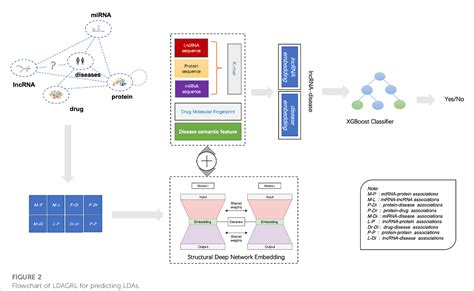 Figure 2 From A Lncrna Disease Association Prediction Tool Development Based On Bridge