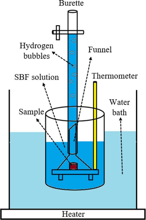 Schematic Setup For Hydrogen Evolution Test Download Scientific Diagram