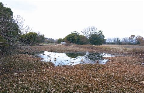クリーク佐賀県 ロケ地 検索全国ロケーションデータベース