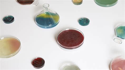 Jan Klinglers Bacteria Lamps Are Modern Fossils As Well As Lights