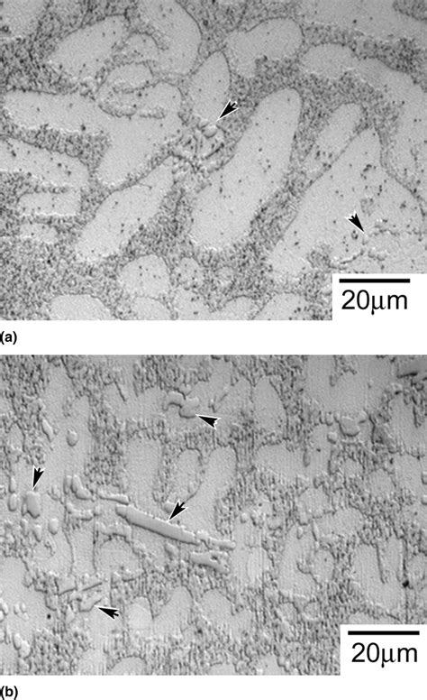 Magnified Microstructure Of The Specimens With High Cu Content A Download Scientific Diagram