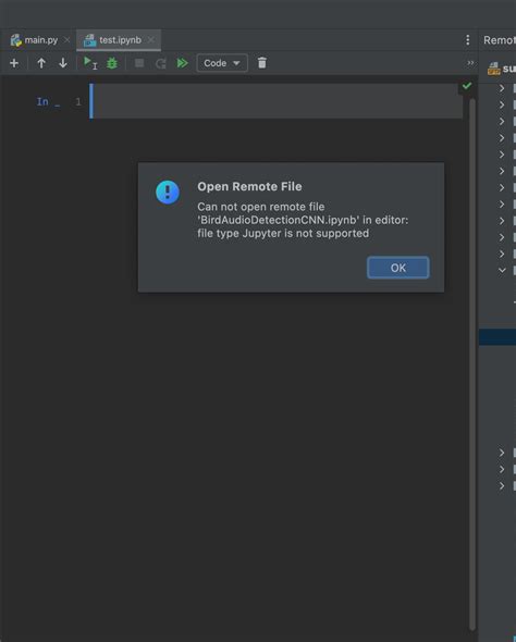 Pycharm Professional Edition Cannot Open Remote Ipynb File Ides Support Intellij