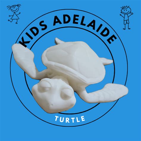 Turtle Diy Markers Included