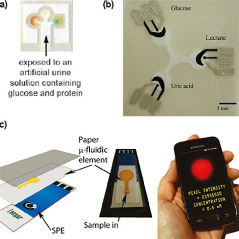 Pdf A Perspective On Paper Based Microfluidics Current Status And