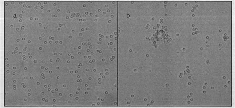 Pei Polyetherimide Chitosan Triply Compound Gene Vector With Low