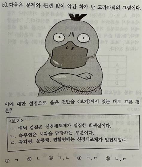 Illustration Artwork에 있는 Insoek Choi님의 핀 2024 웃긴 밈 재미있는  재미있는 포즈