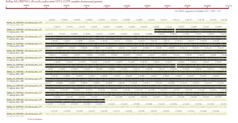 Minimap Showing The Alignment Of 16 S Rdna Sequence Of Weissella
