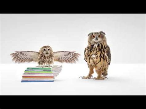 Air Quotes Wgu Sage The Night Owl Commercial Youtube