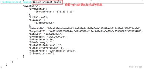 基于 Dockerfile 部署 Lnmp 架构