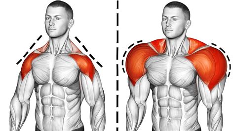 Shoulder Day Workout⚡️must Try Youtube