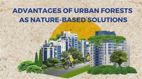 Advantages Of Urban Forests As Nature Based Solutions By Clearing