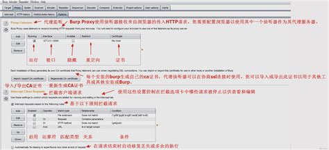 Burpsuite十大模块详细功能介绍burp Suite各模块的作用 Csdn博客