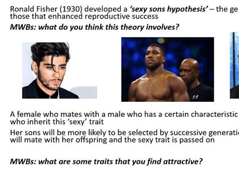 Aqa Psychology Evolutionary Explanations Of Relationships Teaching Resources