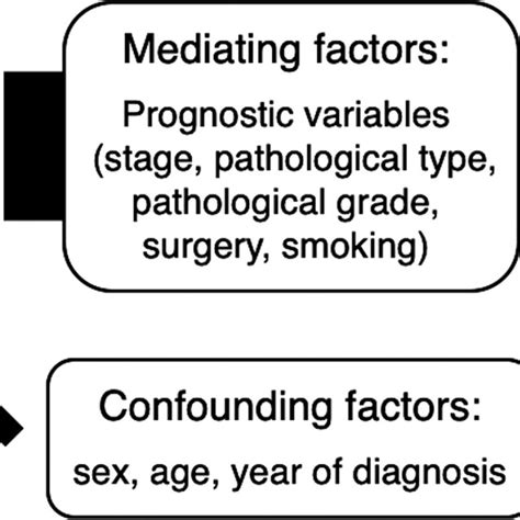 Confounding And Mediating Variables In The Analytic Model Download