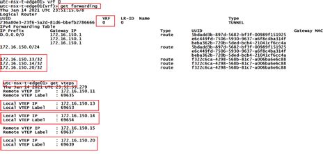 NSX T Series Part NSX T EDGE Deploy Part Network Bachelor