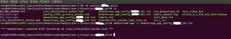 Deepstream App Is Not Working In Deepstream Docker How Can I Do