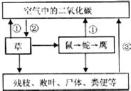 17番茄果实营养丰富 是全世界栽培最为普通的果蔬之一 如图中甲表示番茄的发育过程示意图 乙表示番茄叶片在夏季晴朗的一天中进行物质转化的两种