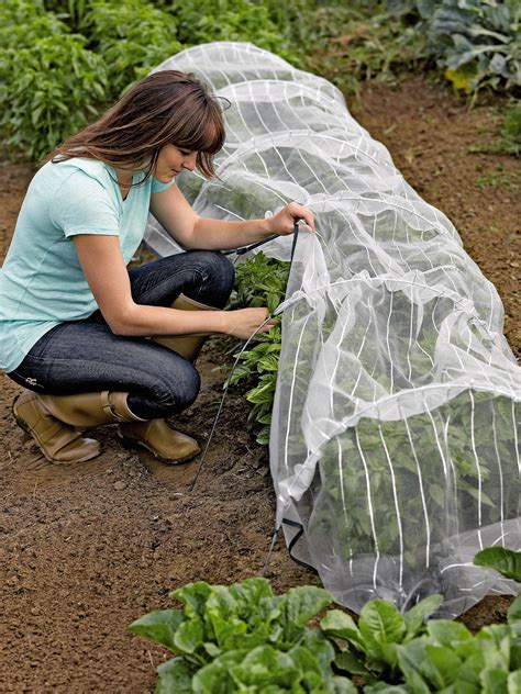 Garden Bug Insect Netting At Jason Rocha Blog